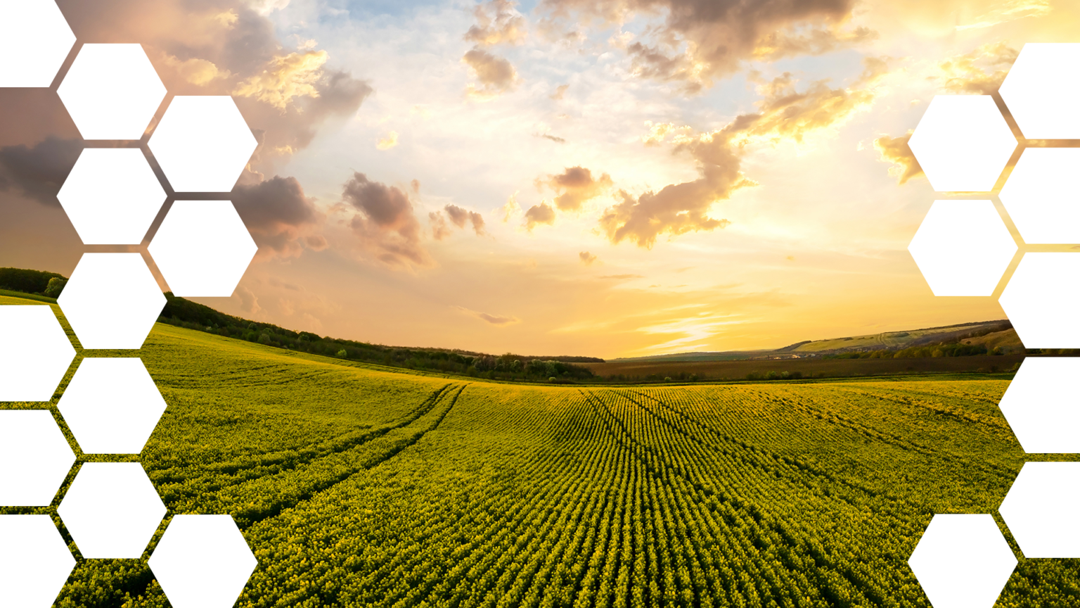 BROKERAGE – OTC Global Holdings